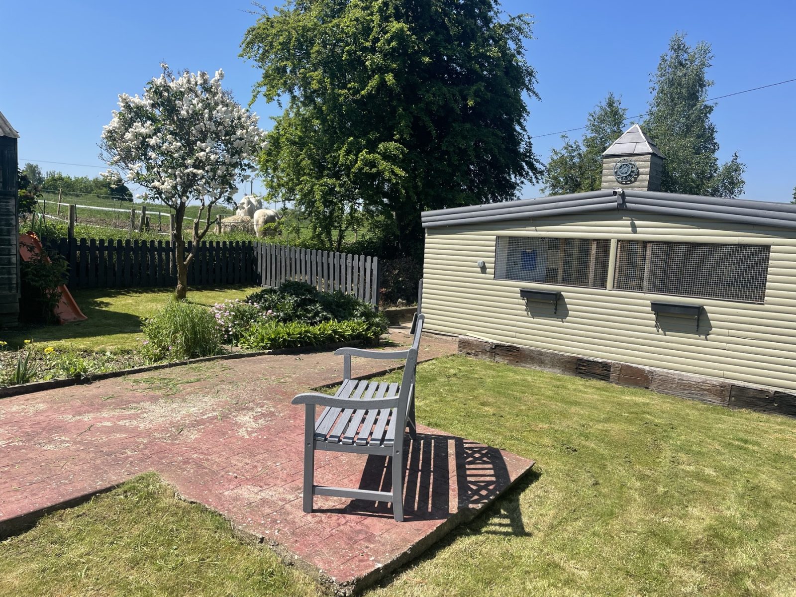 Round-the-year cattery | Willow Tree Cattery | Family run cat ...